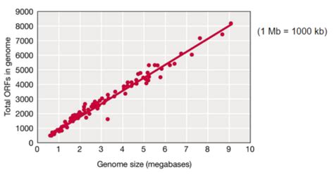 lecture 6 genomics flashcards quizlet