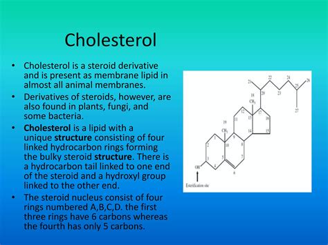 Lipids Structure And Functions Pptx Chemistry Science