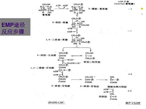 Ppt 第六章 Powerpoint Presentation Free Download Id5082599