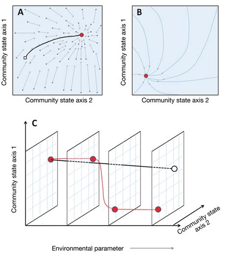 phase portrait and phase shift a phase portrait of a community