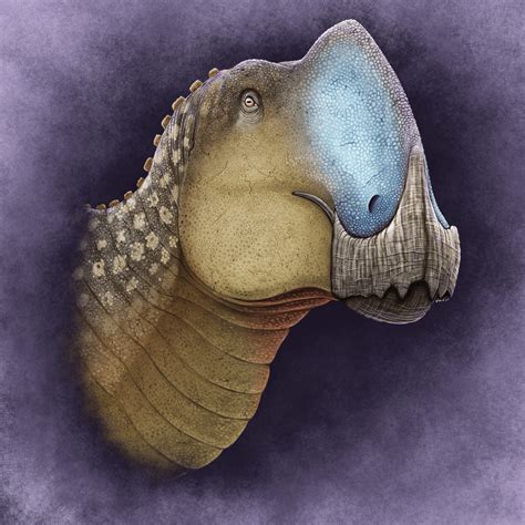 New Duck Billed Dinosaur Unearthed In Mexico Sci News