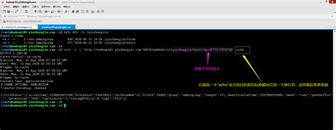 使用hadoop webhdfs访问hdfs jasonyin2020 博客园