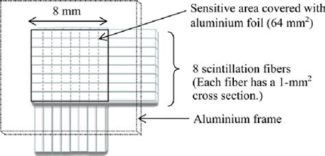 Schematic Of Beam Monitor Comprising 16 Scintillation Fibers