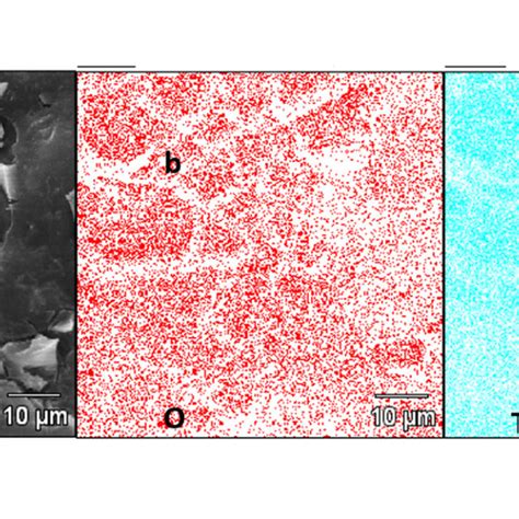 A Sem Image Of The Ac Tio2 Sample And Its B Edx Concentration Map