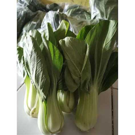 Jual Sayur Pakcoypokcoy Segar 500 Gr Shopee Indonesia