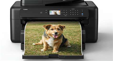 Canon Error Code 306 Fixing All The Communication Errors 2025 Axeetech