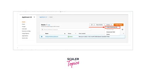Amazon AppStream Scaler Topics