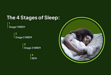Stages Of Nrem
