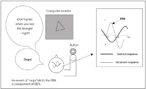 Incorrect Response Is Involved With The Generation Of Ern Download