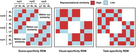 Illustration Of Predefined Representational Dissimilarity Matrices Download Scientific Diagram