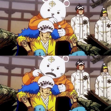Bepo X Law 😂 ️ Bepo One Piece Wano Bepo And Law Law X Bepo One Piece