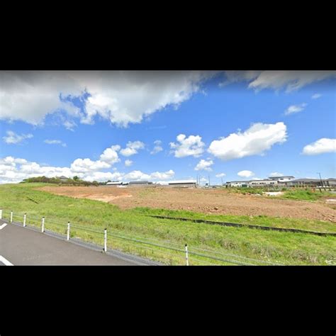 Tree Detection Project Object Detection Dataset By The University Of Waikato