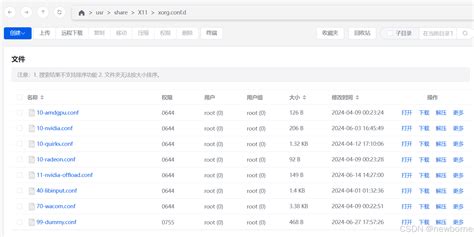 【ubuntu2404无显示器远控】【todesk远程桌面黑屏】【linux虚拟显示器】解决方案ubuntu2404 Todesk Csdn博客