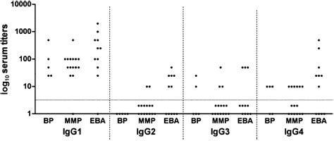Igg Subclass Autoantibody Titers In Dog With Autoimmune Subepidermal