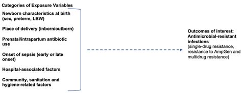 Conceptual Framework The Conceptual Framework Describes The Download Scientific Diagram