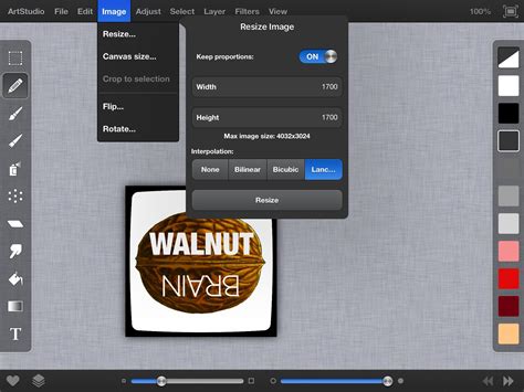 Eli5 Image Resizing Interpolation Methods And How To Choose The Best
