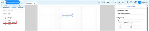 Usage Of Page Break In Canned Reporting Helical Insight