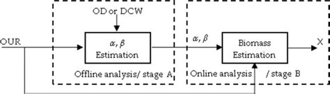 Biomass Estimators Structure Scheme Of Different Estimation Stages Download Scientific Diagram