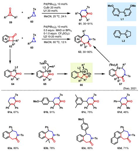 molecules free full text skeletal editing ring insertion for