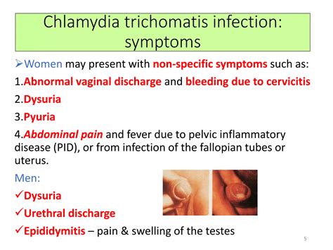 Clinical Microbiology Chlamydia Trachomatis An Overview Of Stds Pdf