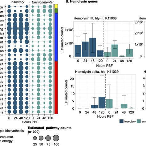 Functional Profiling Of Predicted Metagenomes A Metacyc Pathways
