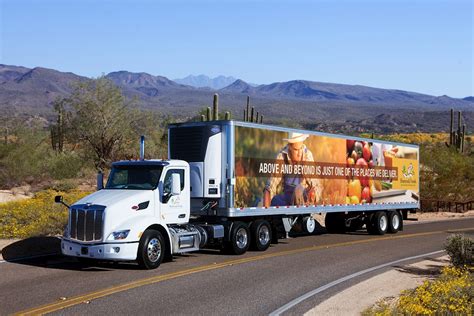 Shamrock Foods Catapult Strategic Design