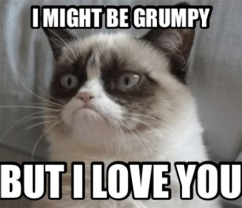 40 Best True Love Memes To Brighten Your Day Beforeamore