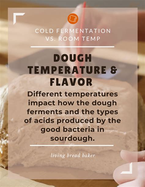 Cold Fermentation Vs Room Temperature Which Is Better Living Bread Baker
