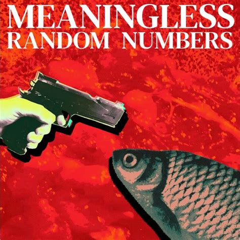 Meaningless Random Numbers