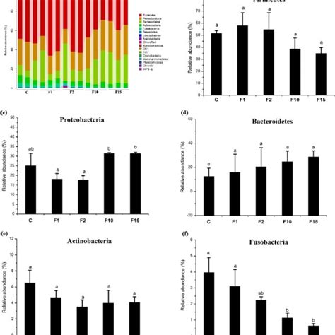 Compositions Of Gut Microbiota At The Phylum Level A Bacterial
