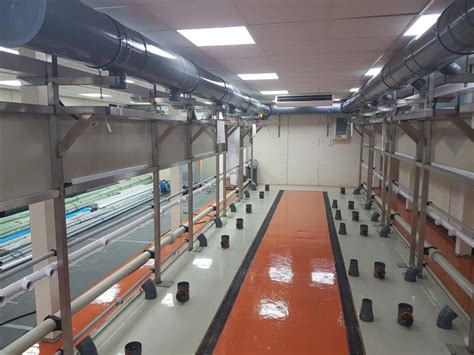 Floor Framework And Extraction In Place Ready For Our New Selective