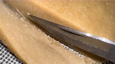 What Is Piatella Cured Hash Girls In Green