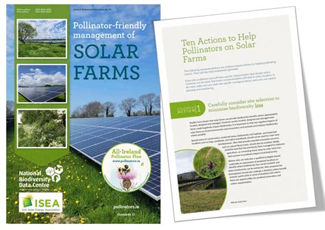 New Guideline Pollinator Friendly Management Of Solar Farms All