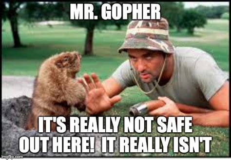 Gopher Memes And S Imgflip