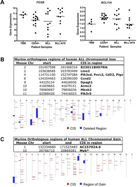 human gep and gene copy number data for candidate mll af9 cooperating