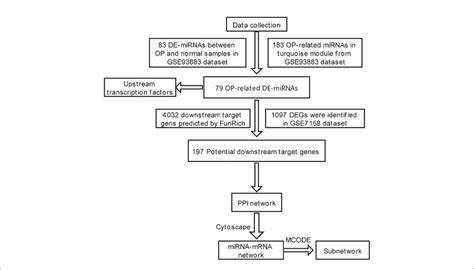 workflow of research routine to construct the mirna mrna regulatory