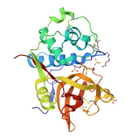 Rcsb Pdb 4yyv Ficin Isoform C Crystal Form Ii
