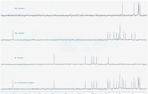 13 C Nmr Dept Analysis Of Zs 2a Download Scientific Diagram