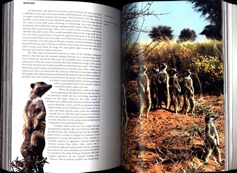 Meerkat Manor Flower Of The Kalahari By Clutton Brock Tim Near Fine