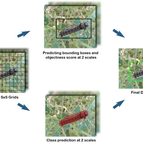 pdf small pests detection in field crops using deep learning object