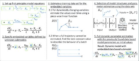 overview over the steps to identify a dynamic gray box model
