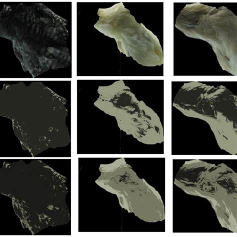 the image quantization and pie chart using quantization image a