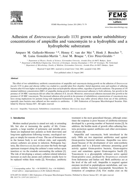 Pdf Adhesion Of Enterococcus Faecalis 1131 Grown Under Subinhibitory