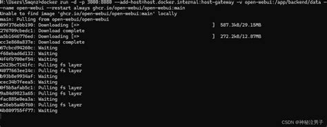 使用ollama和open Webui管理本地开源大模型的完整指南 Csdn博客