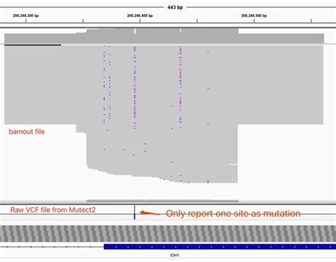 how to explain that mutations called by mutect2 are inconsistent with