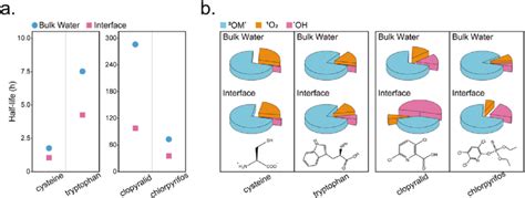 Impacts Of Enhanced Photochemically Produced Reactive Intermediate