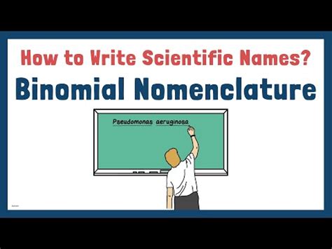 How To Write Scientific Names For Plants
