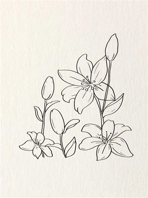 百合简笔画大全20张 几塔之家