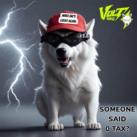 Zero Tax Token Rvoltinu