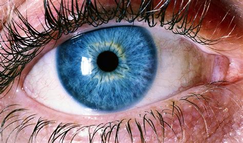 Imagine De Stoc Gratuită Cu Culori Gene Glob Ocular